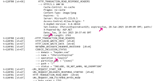 Analyzing Network Traffic Logs (NetLog json) – text/plain