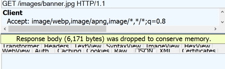 Analyzing Network Traffic Logs (NetLog json) – text/plain