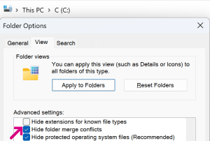Explainer: File Types – text/plain